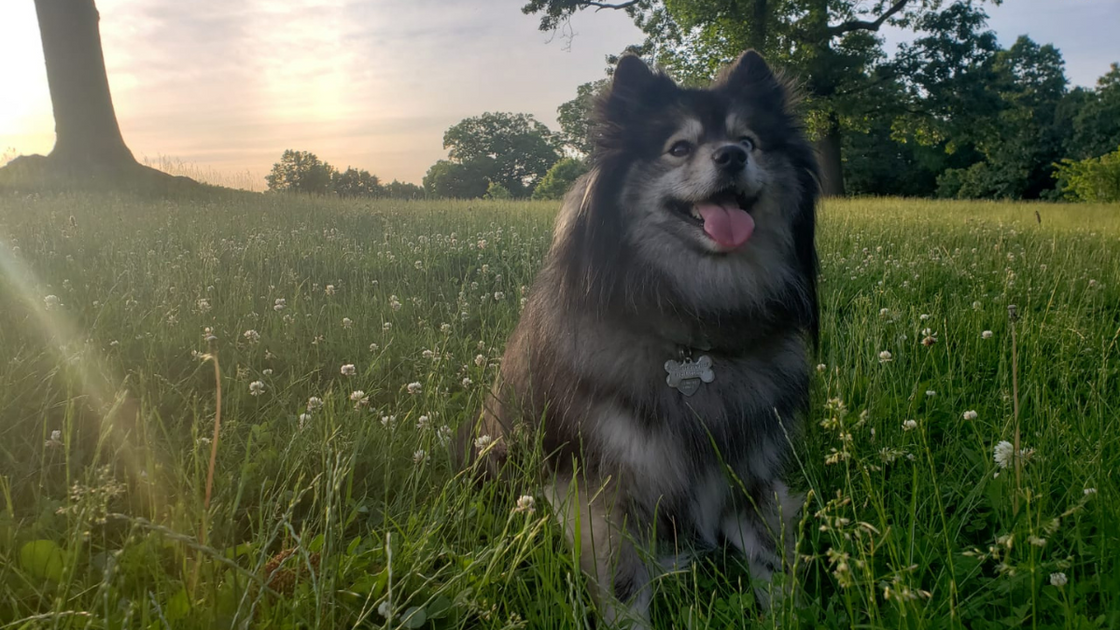 featured-blog-image-1200x675-1695185501951_c96aa1ad-6651-4398-9c03 ...